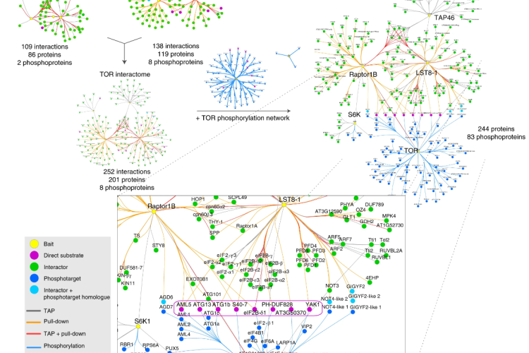 Front page | De Jaeger Lab